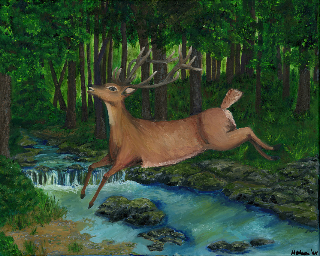 Original Art – Heidi Olson Art